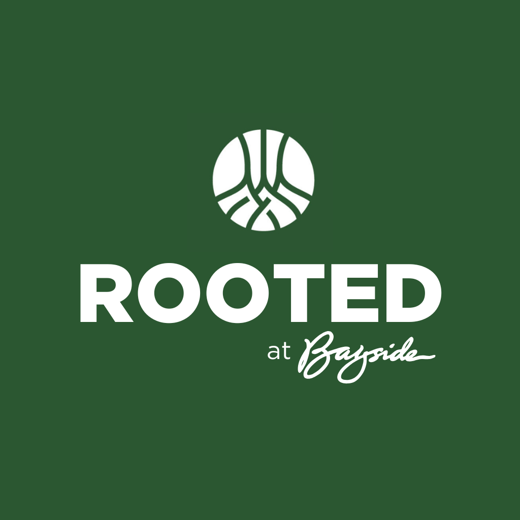 Rooted Facilitator Resource Page | Bayside Church